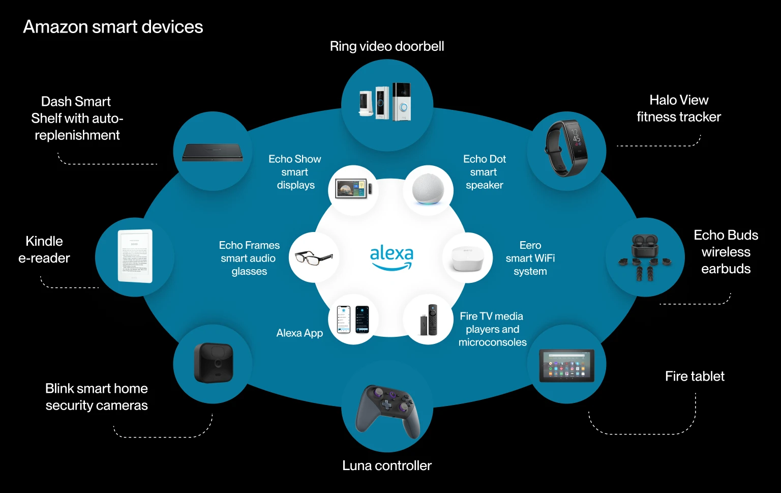 Amazon Digital Ecosystem Strategy, Explained